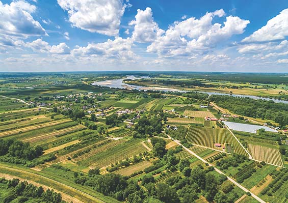 One Planet. One Health. DANONE realizuje strategię na rzecz poprawy ...